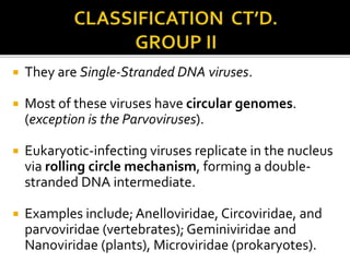 Baltimore classification of viruses presentation | PPTX