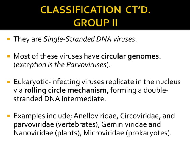 Baltimore classification of viruses presentation | PPTX | Biological ...