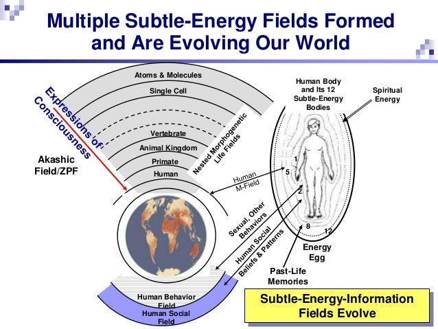 1000+ images about Subtle Body Anatomy on Pinterest