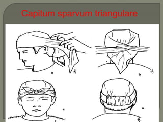 BALUT DAN BIDAI | PPTX