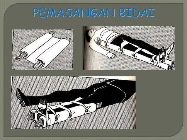 BALUT DAN BIDAI | PPTX