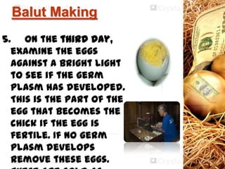 PDQ - Balut | PPTX