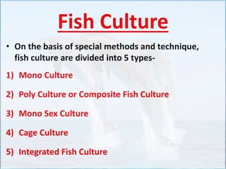 Types of Cultivable Fishes | PPTX