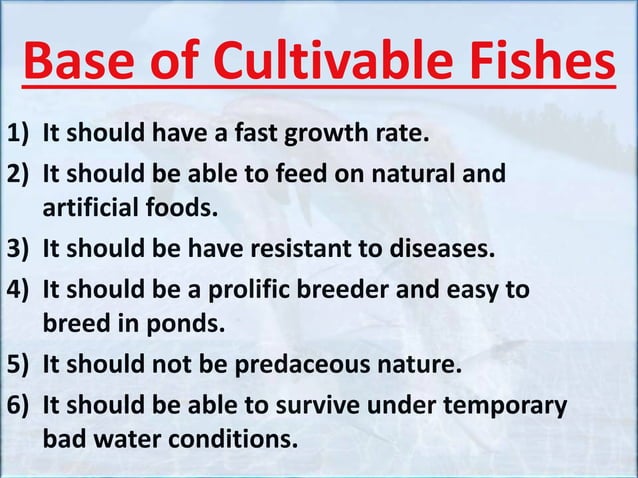 Types of Cultivable Fishes | PPTX | Fish and Aquariums | Pets