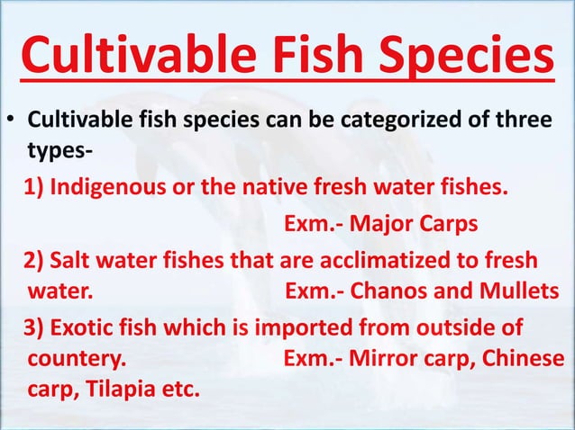 Types of Cultivable Fishes | PPTX | Fish and Aquariums | Pets