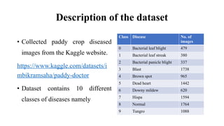 Application of Advanced Machine Learning Methods for Crop Image Classification .pptx
