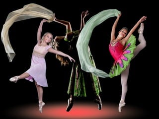 Bama Beauties_ Richard Calmes | PPT
