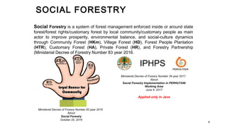 Social forestry in 4 years | PPT