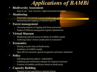 Bambi presentation | PPT | Free Download