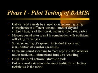 Bambi presentation | PPT