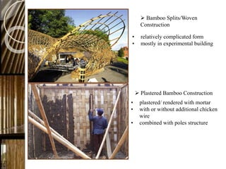 Bamboo | PPTX