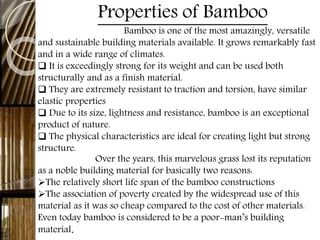 Bamboo | PPTX