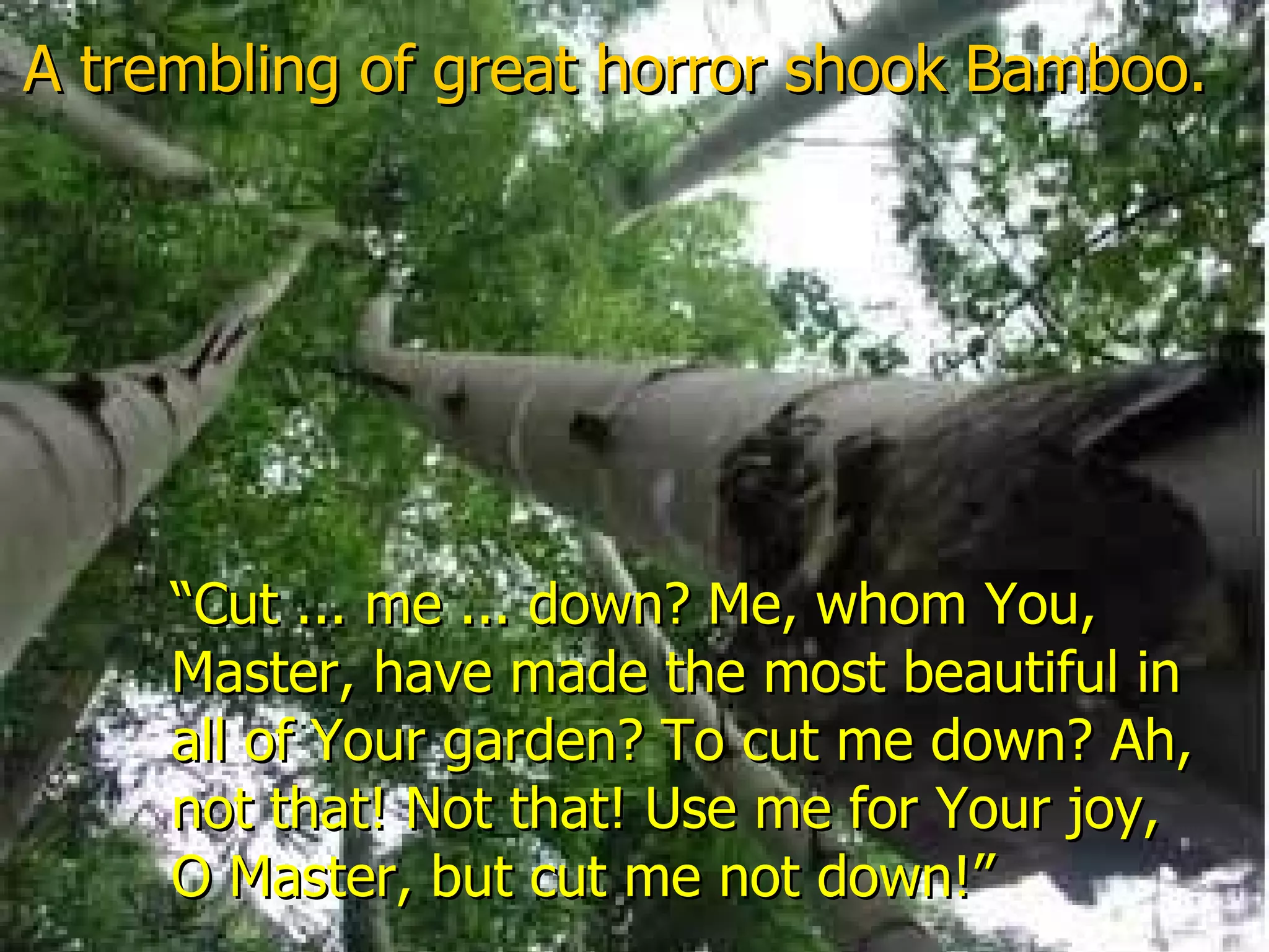 The Parable of Bamboo | PPS