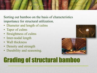 Bamboo | PPTX