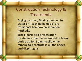 Bamboo | PPTX
