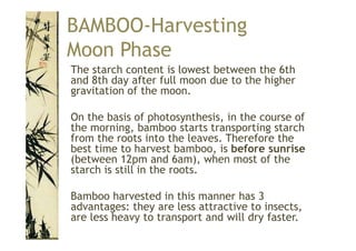 Bamboo | PDF