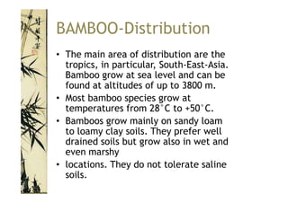 Bamboo | PDF