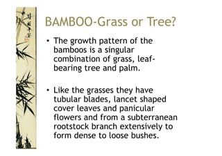 Bamboo | PDF