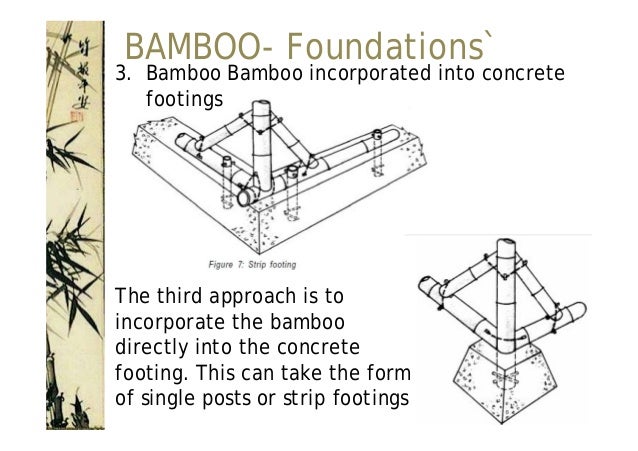 Bamboo