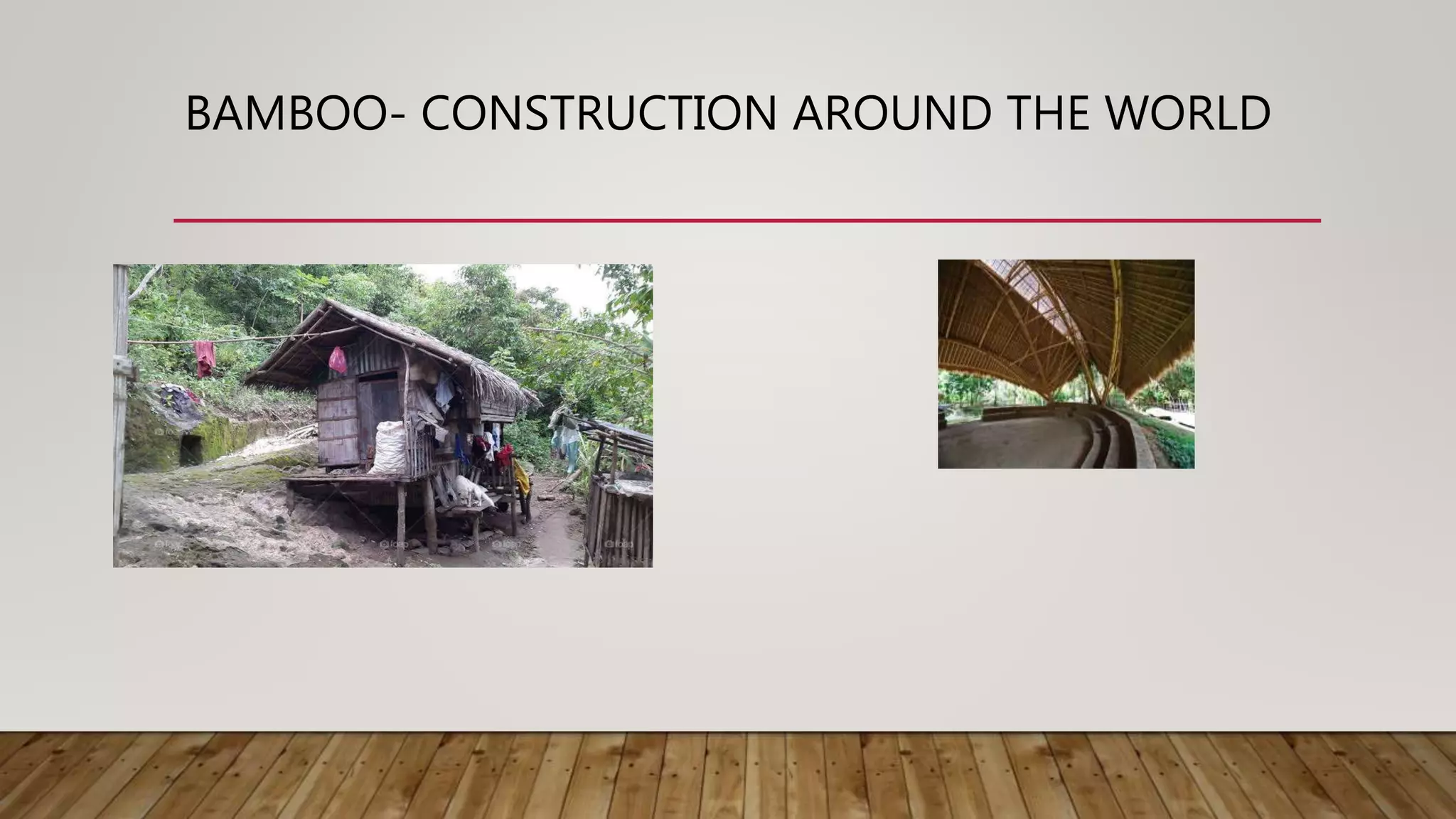Bamboo | PPT
