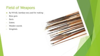 Bamboo | PPTX