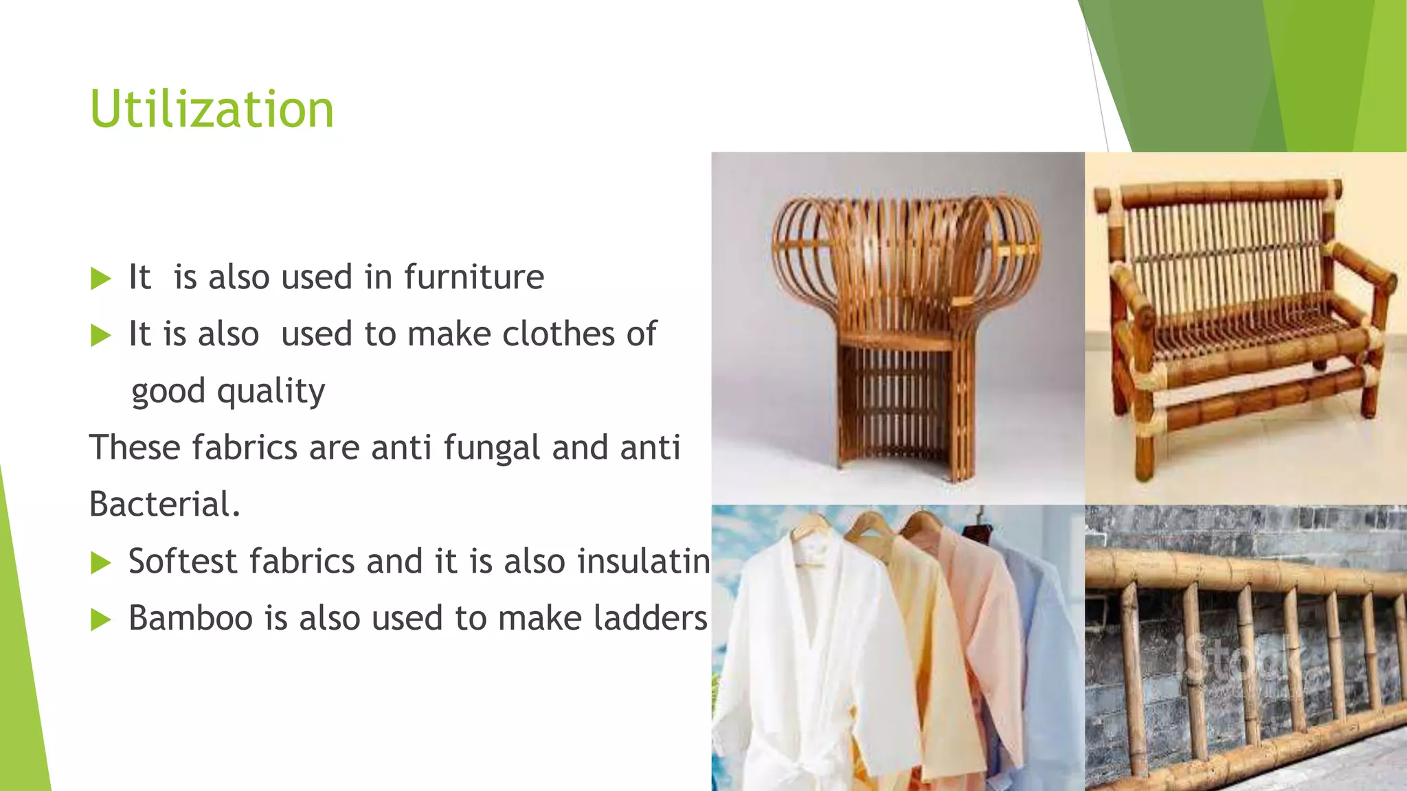 Bamboo properties and utilization | PPTX