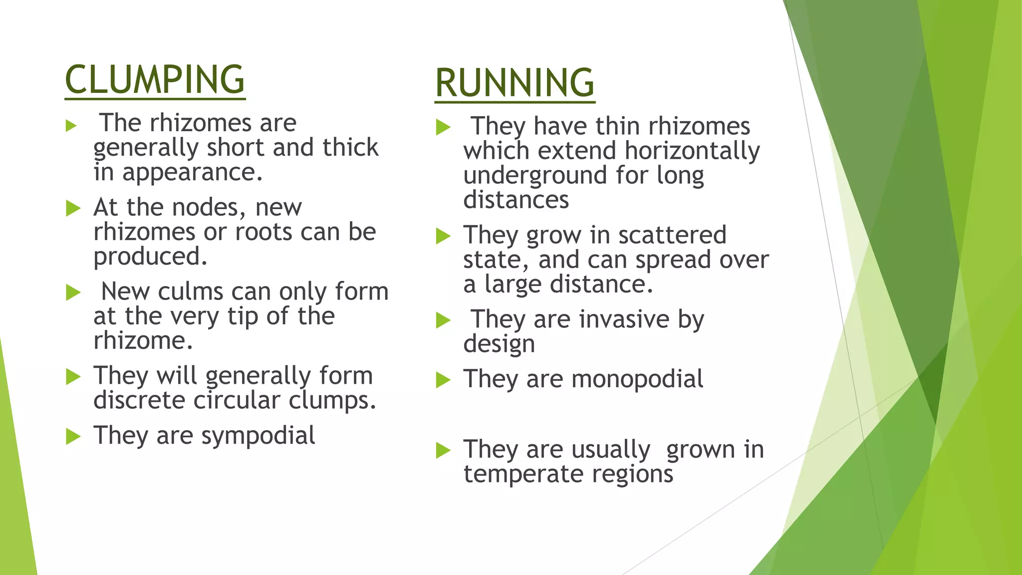 Bamboo properties and utilization | PPTX