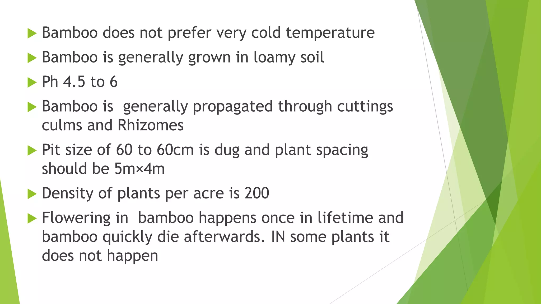 Bamboo properties and utilization | PPTX