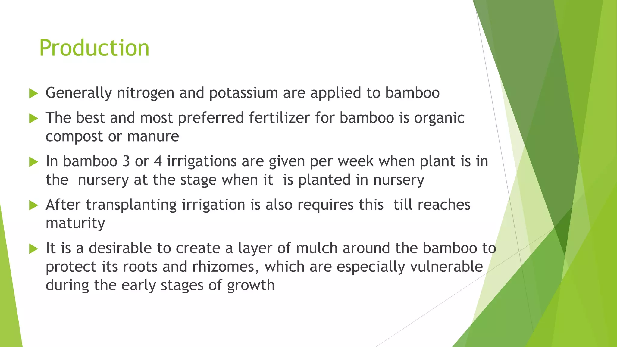 Bamboo properties and utilization | PPTX