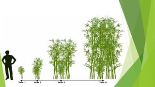 Bamboo properties and utilization | PPTX