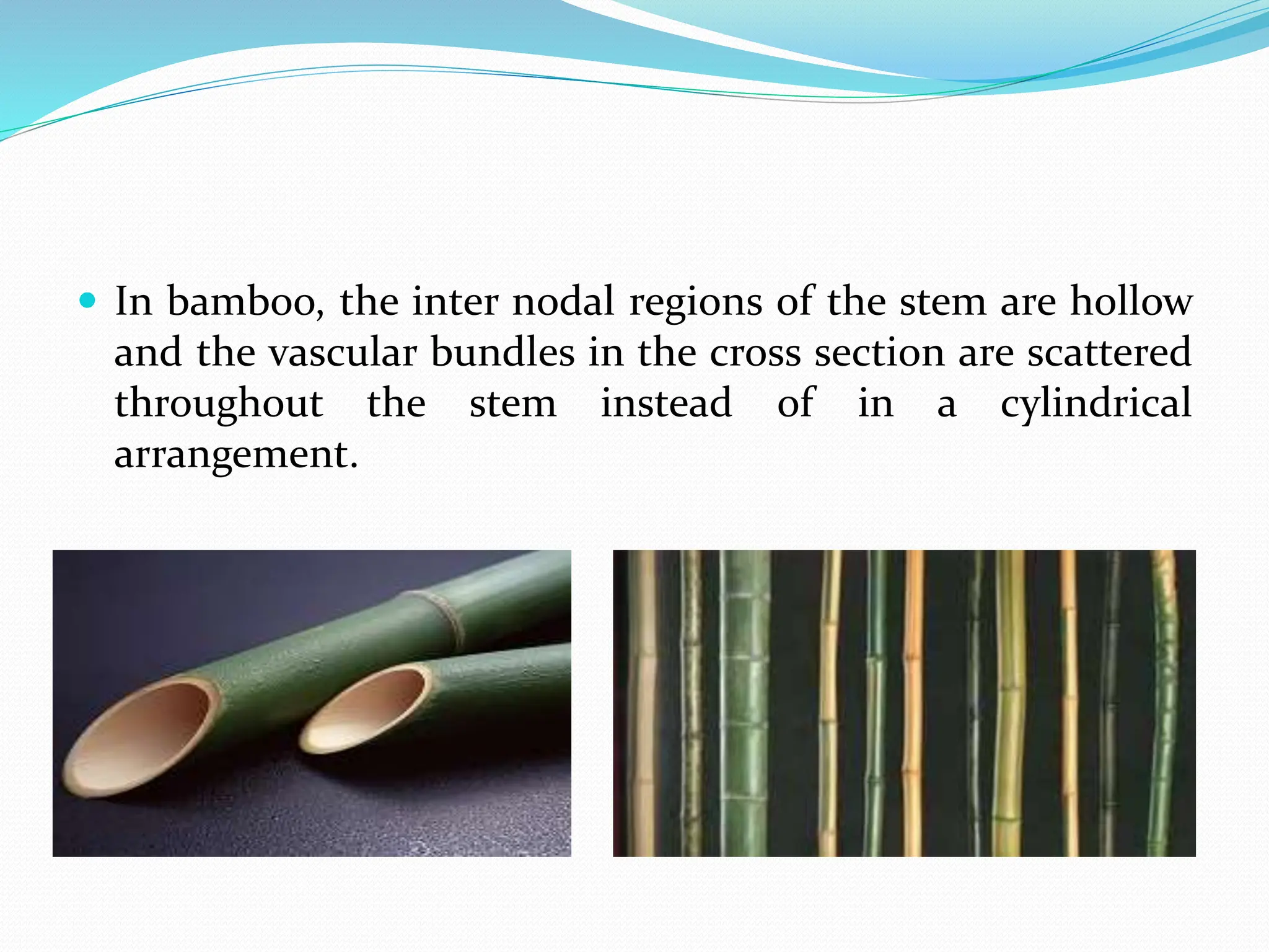 Bamboo as a Sustainable Construction Material: Applications, Benefits ...