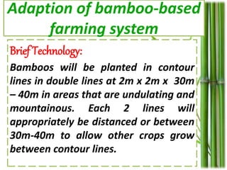 Bamboo-based farming system.pptx