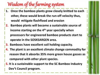 Bamboo-based farming system.pptx