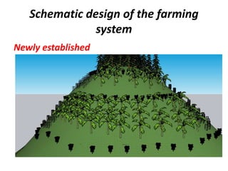 Bamboo-based farming system.pptx
