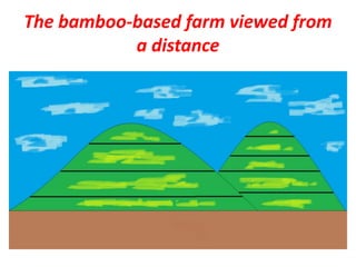 Bamboo-based farming system.pptx
