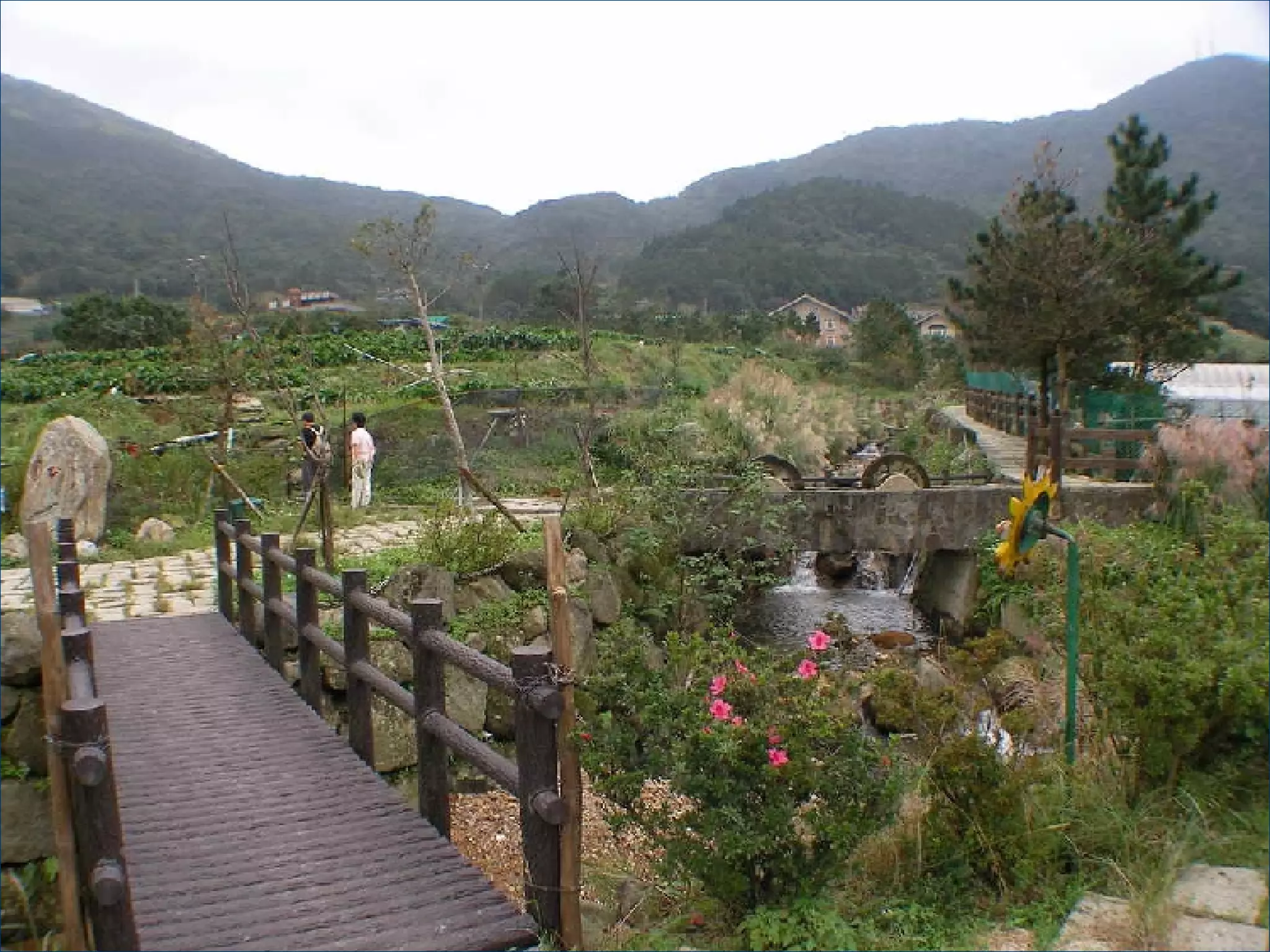 Bamboo Lake, Yangming Mountain National Park, Taipei | PPT | Musicals ...