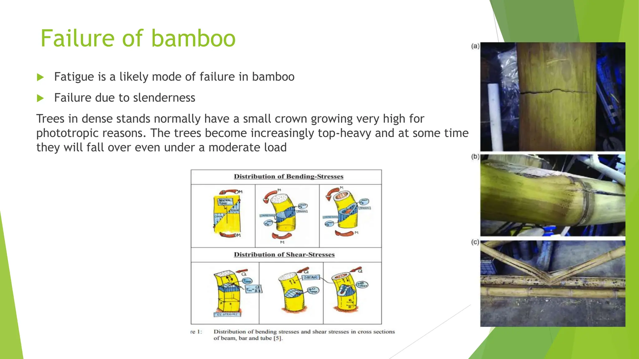Civil Prototyping Famous Structures of Bamboo | PPTX | Woodworking ...