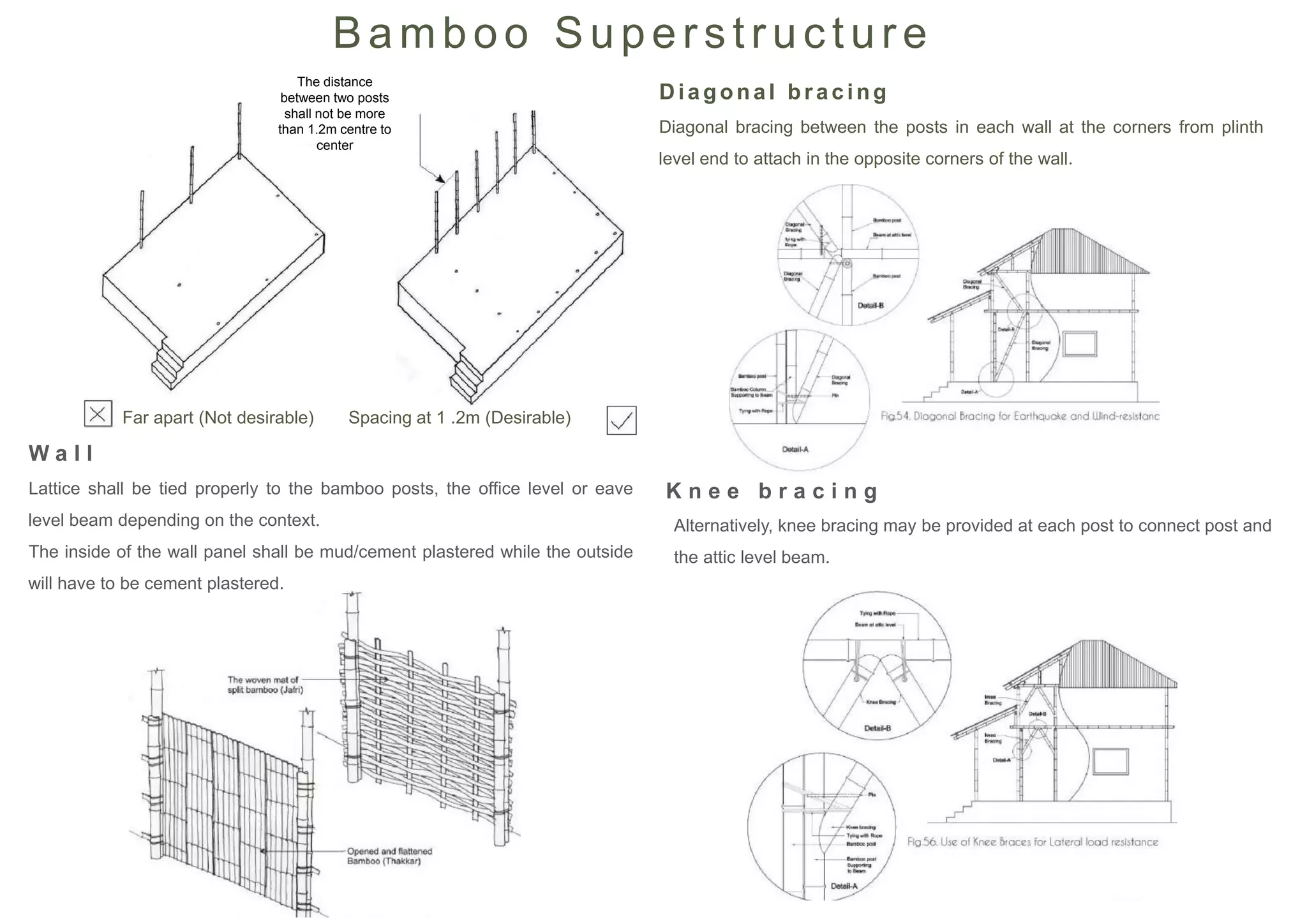 BAMBOO (1).pptx