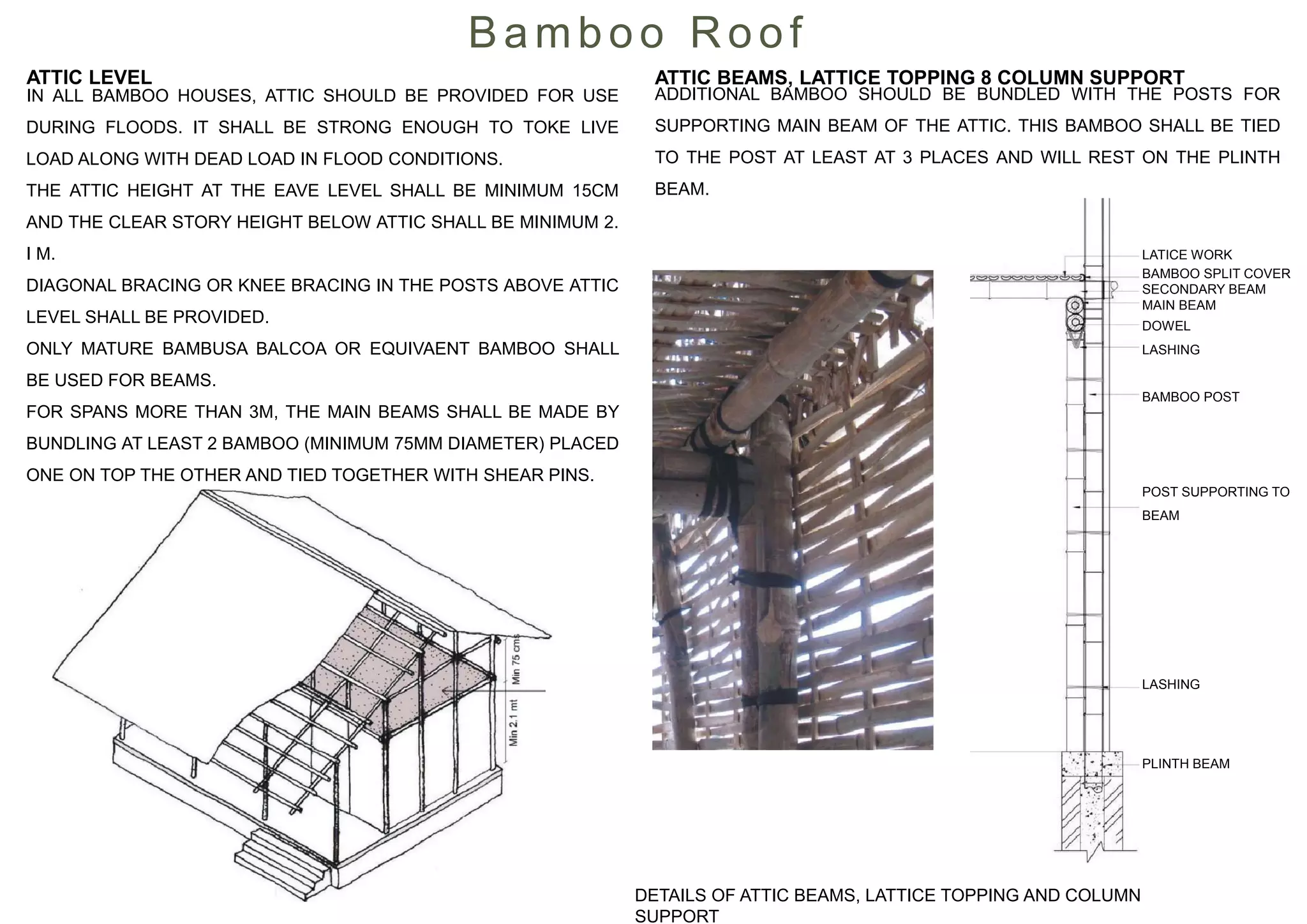 BAMBOO (1).pptx