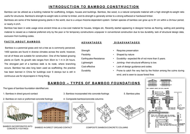 BAMBOO (1).pptx