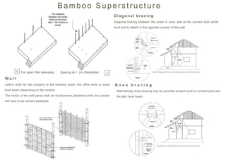 BAMBOO (1).pptx