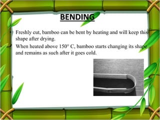 Bamboo as a building material | PPTX
