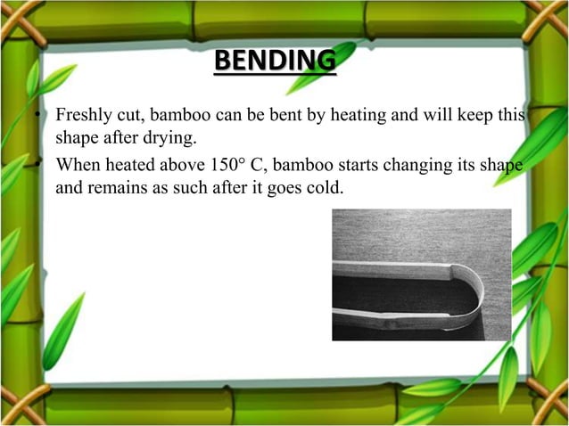 Bamboo as a building material | PPTX