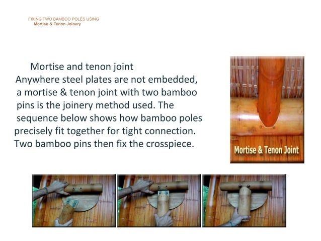 Bamboo as a building material | PPT