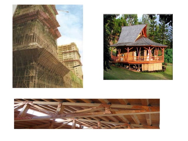 Bamboo as a building material | PPT