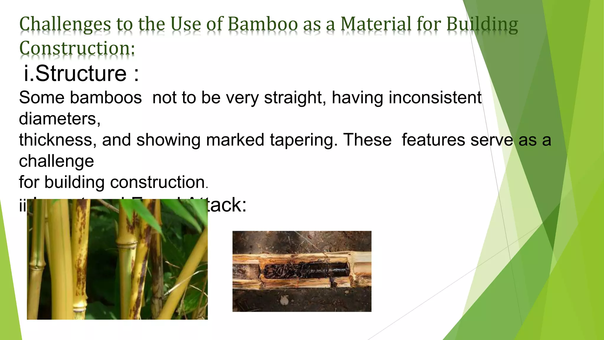 Bamboo as a construction material | PPTX