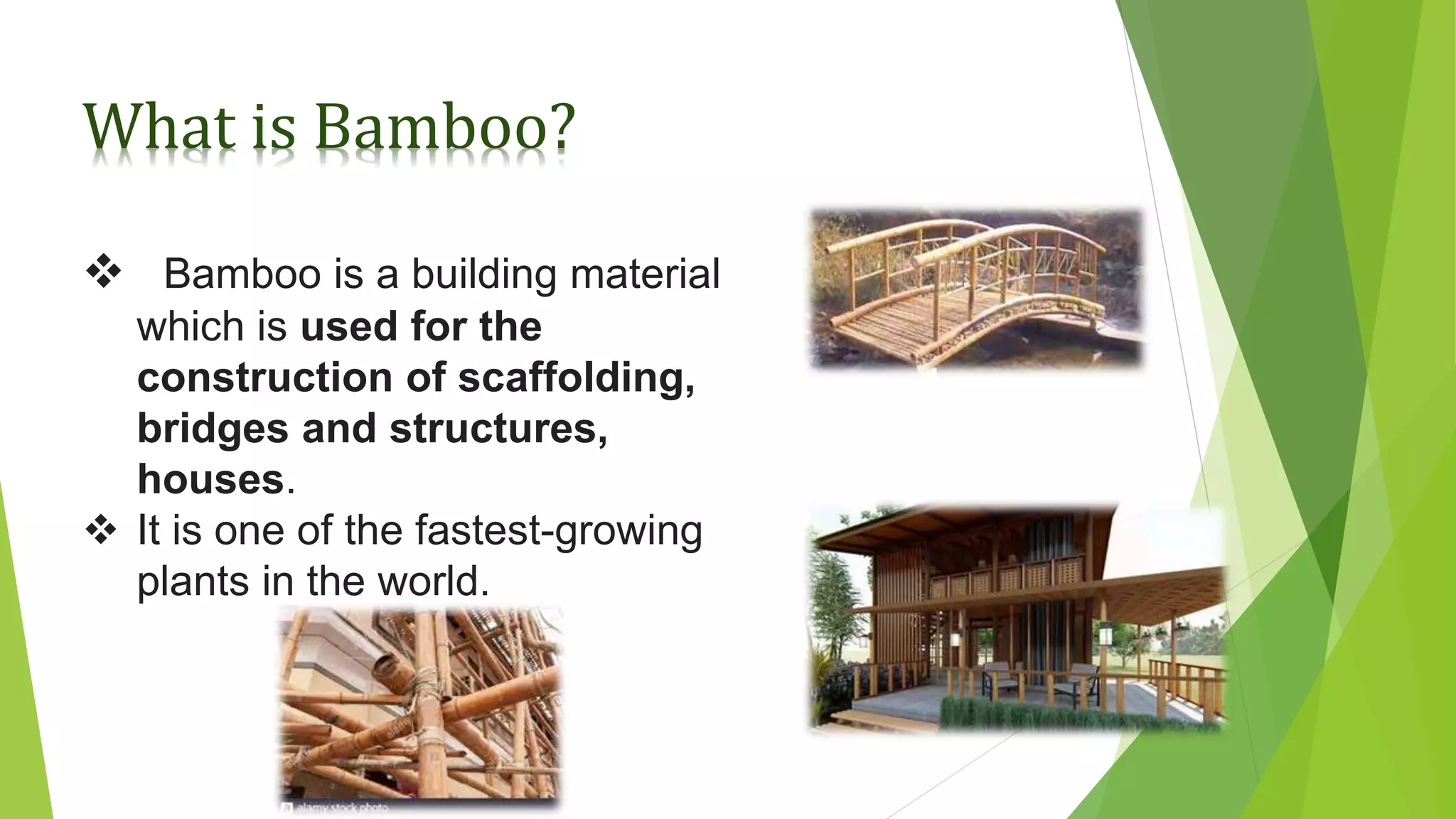 Bamboo as a construction material | PPTX