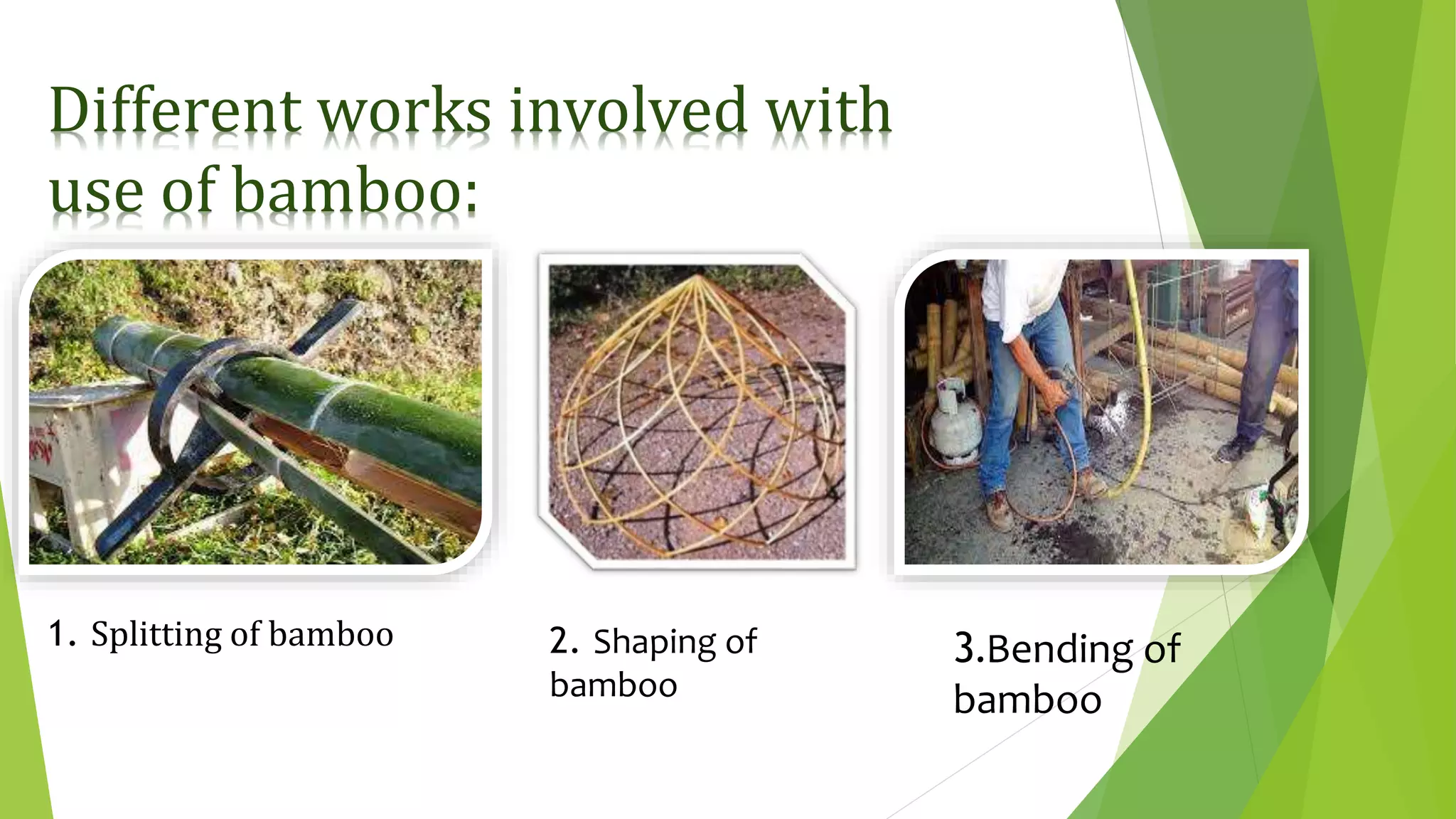 Bamboo as a construction material | PPTX