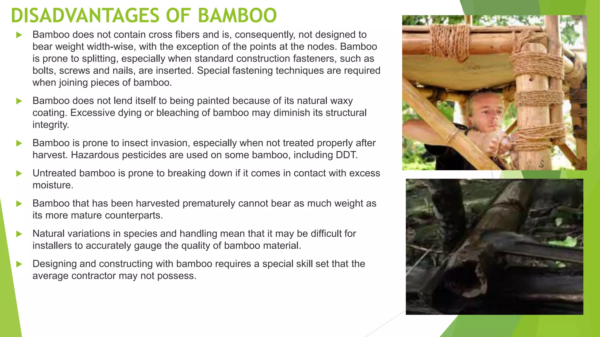 Bamboo as a sustainable building material ppt | PPTX