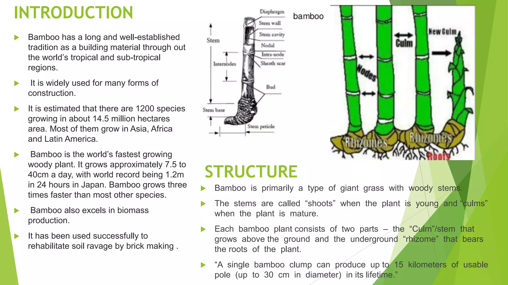 Bamboo as a sustainable building material ppt | PPTX